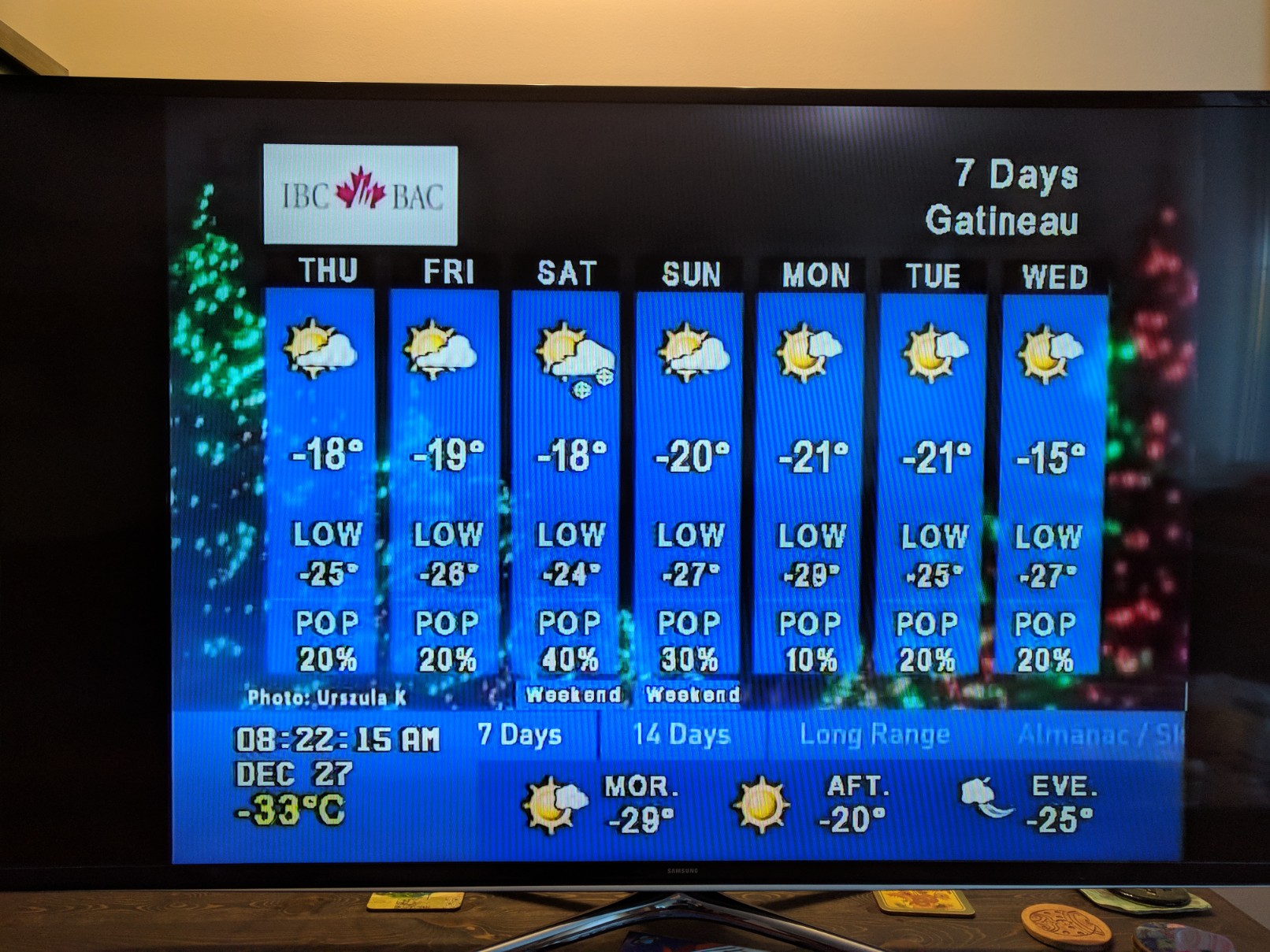Weather or Not – Stevie Szabad, Author